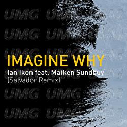 Imagine Why di Ian Ikon, Maiken Sundby - Musica - Universal Music Italia