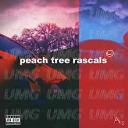 Plus di Peach Tree Rascals - Musica - Universal Music Italia