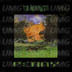 KID BRUNSWICK: discografia, biografia, album e vinili - UMG