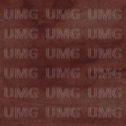 Sylvain Henry: discografia, biografia, album e vinili - UMG